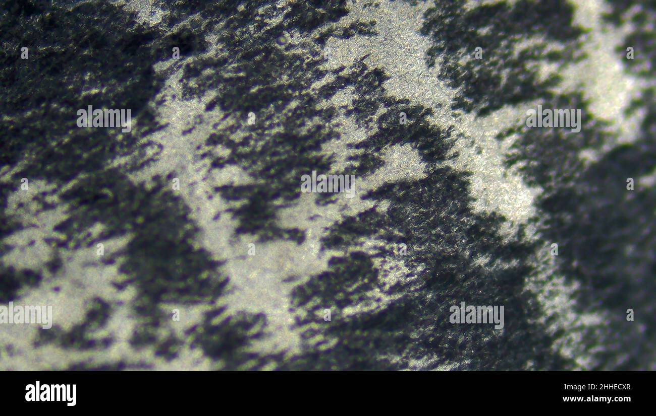 Extreme close up microscope hi-res stock photography and images - Alamy