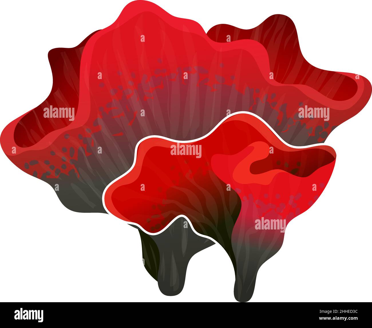 Red algae seaweed Stock Vector Images - Alamy