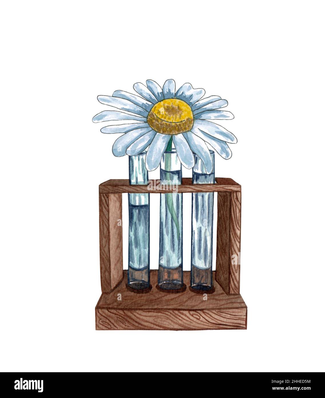 Watercolor tube rack with chamomile flower inside, hand drawn isolated ...