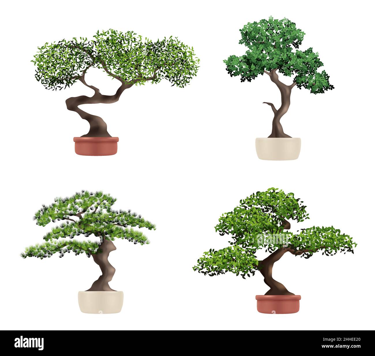 Decorative tree bonsai. Realistic botanical japanese plants nature ...