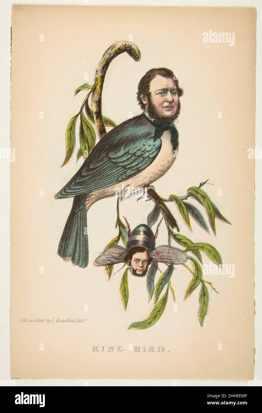 King Bird (Robert P. King and Alexander Baird), from The Comic Natural ...