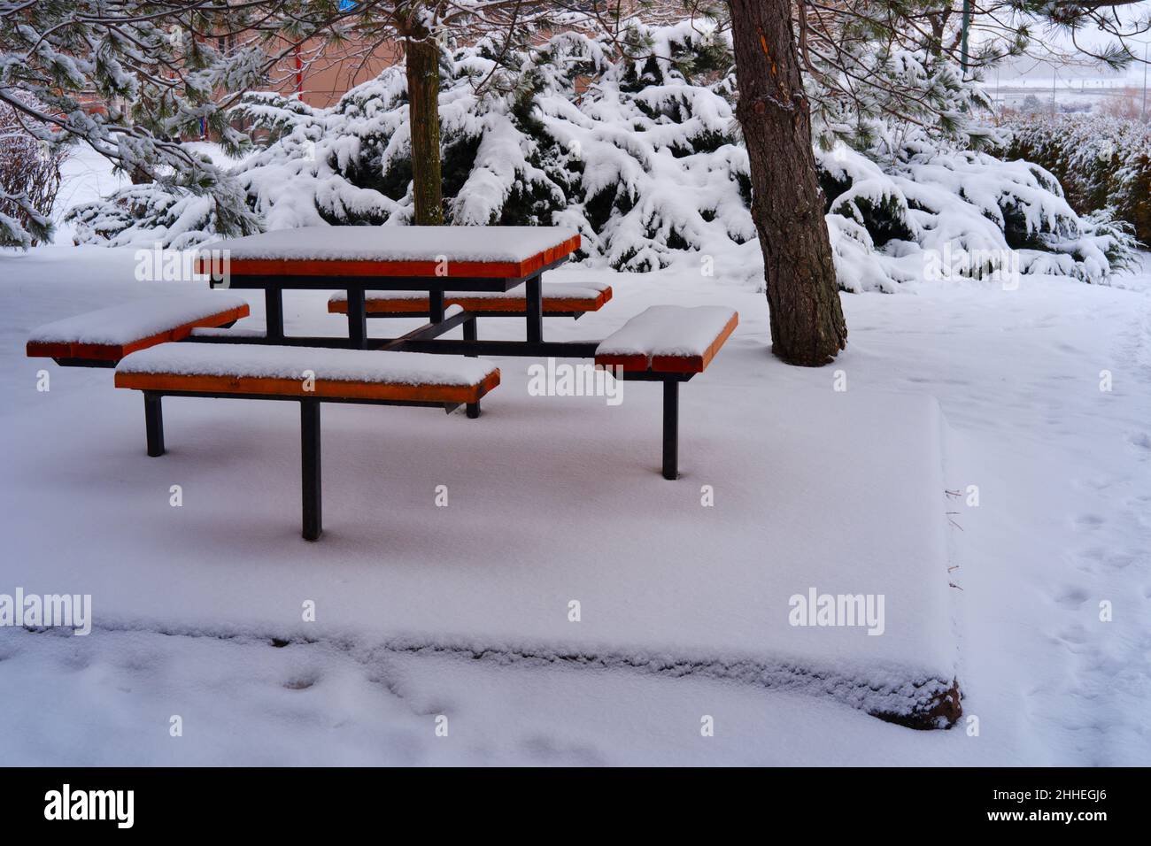 Picnic under tree hi-res stock photography and images - Alamy