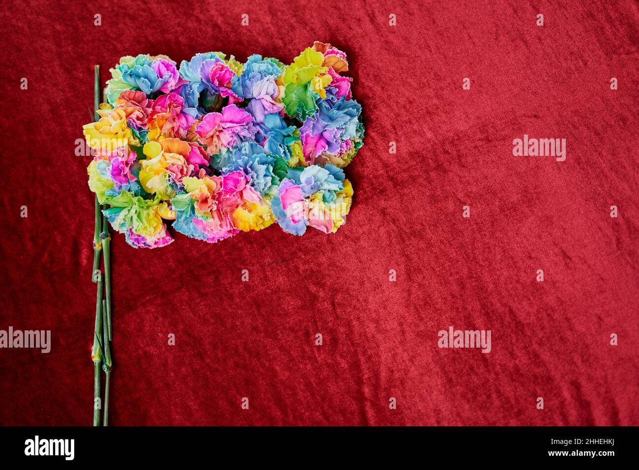 Rainbow color flowers in flag shape. Can be used as symbol of LGBTQ or ...