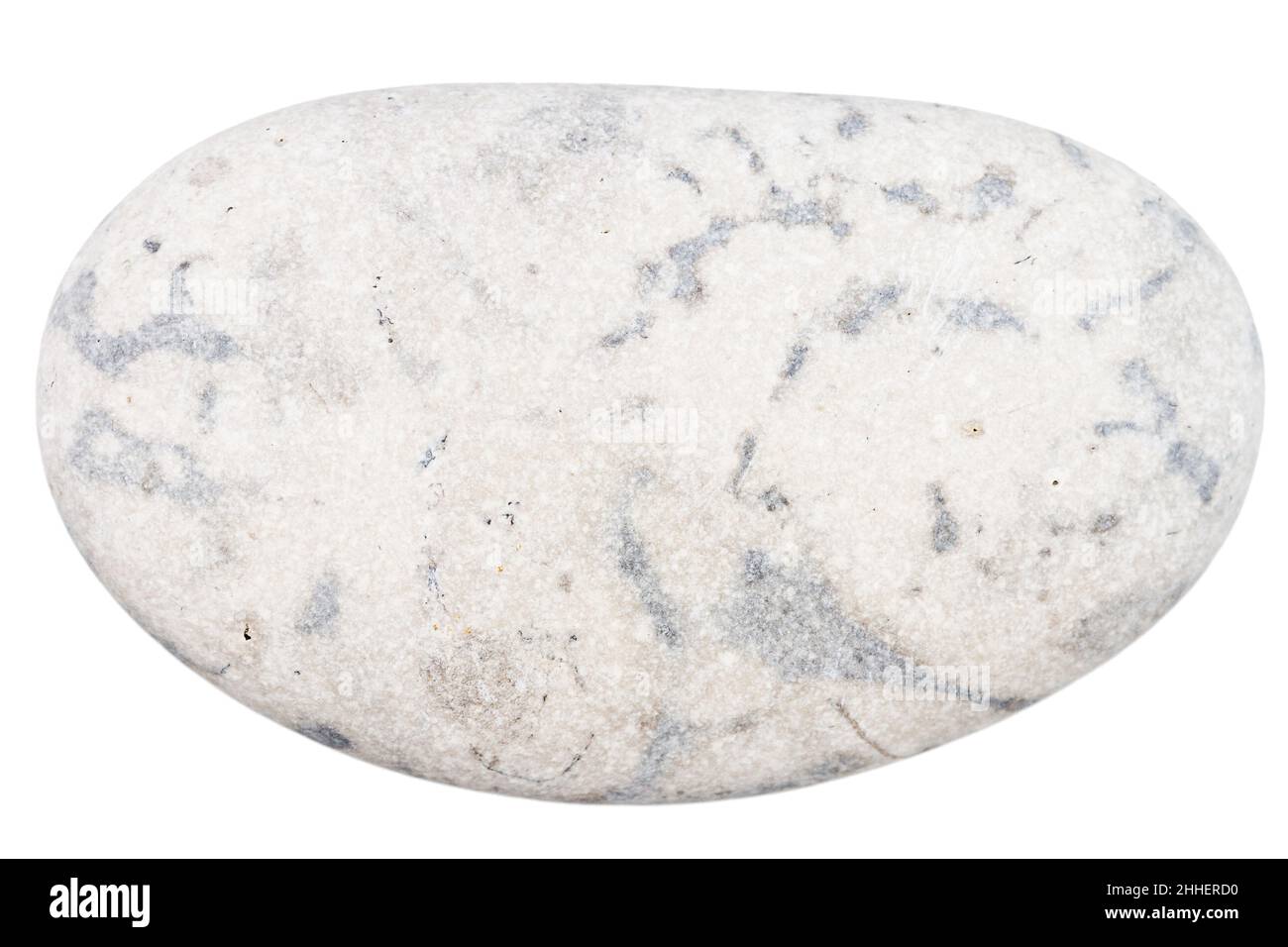 Top view of single gray pebble isolated on white background Stock Photo ...
