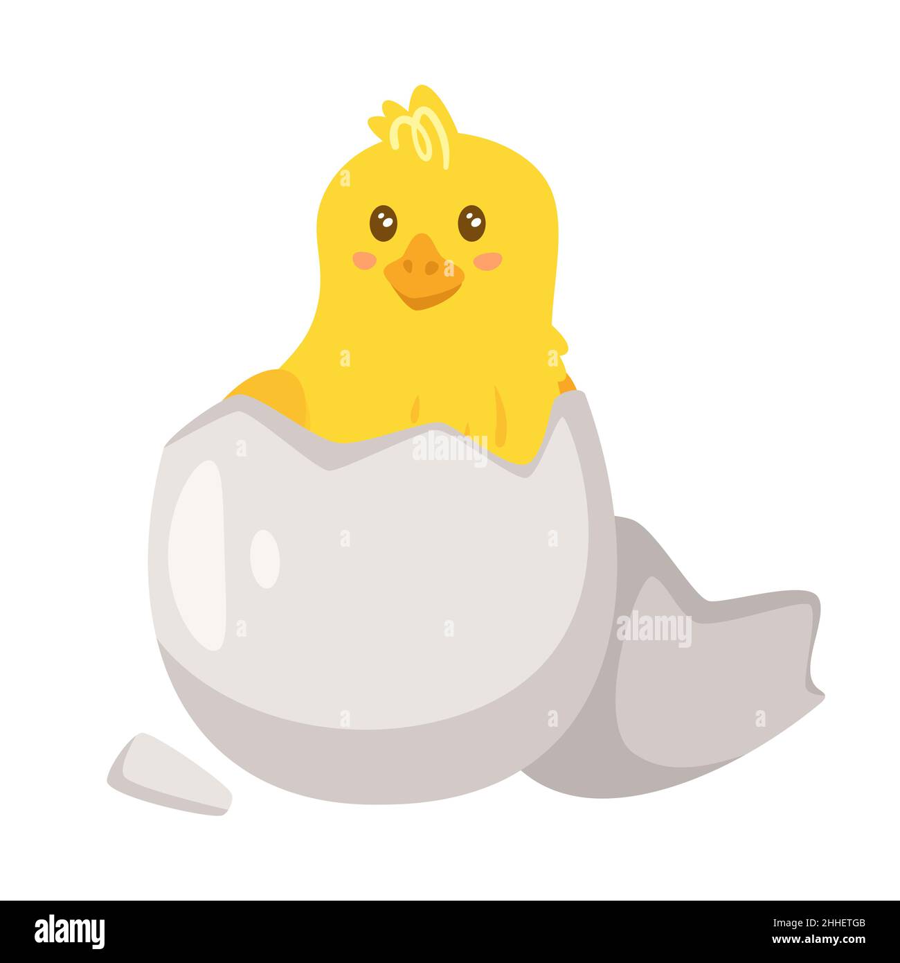 Hen chick by shell hi-res stock photography and images - Alamy