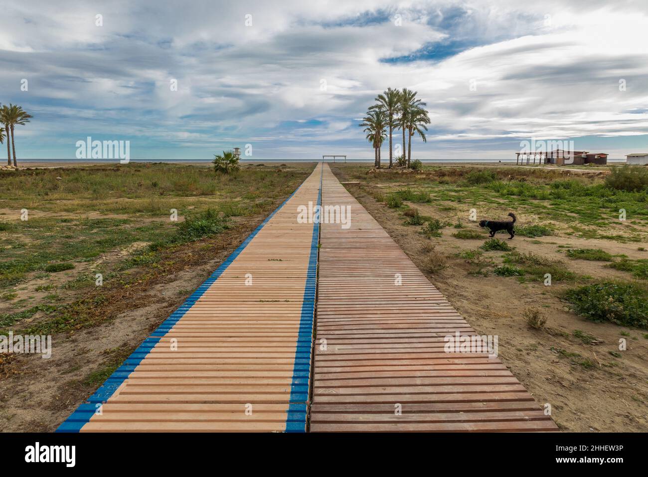 Boardwalk to the Sea with Palm Trees on a Sandy Beach, Garrucha Almeria ...