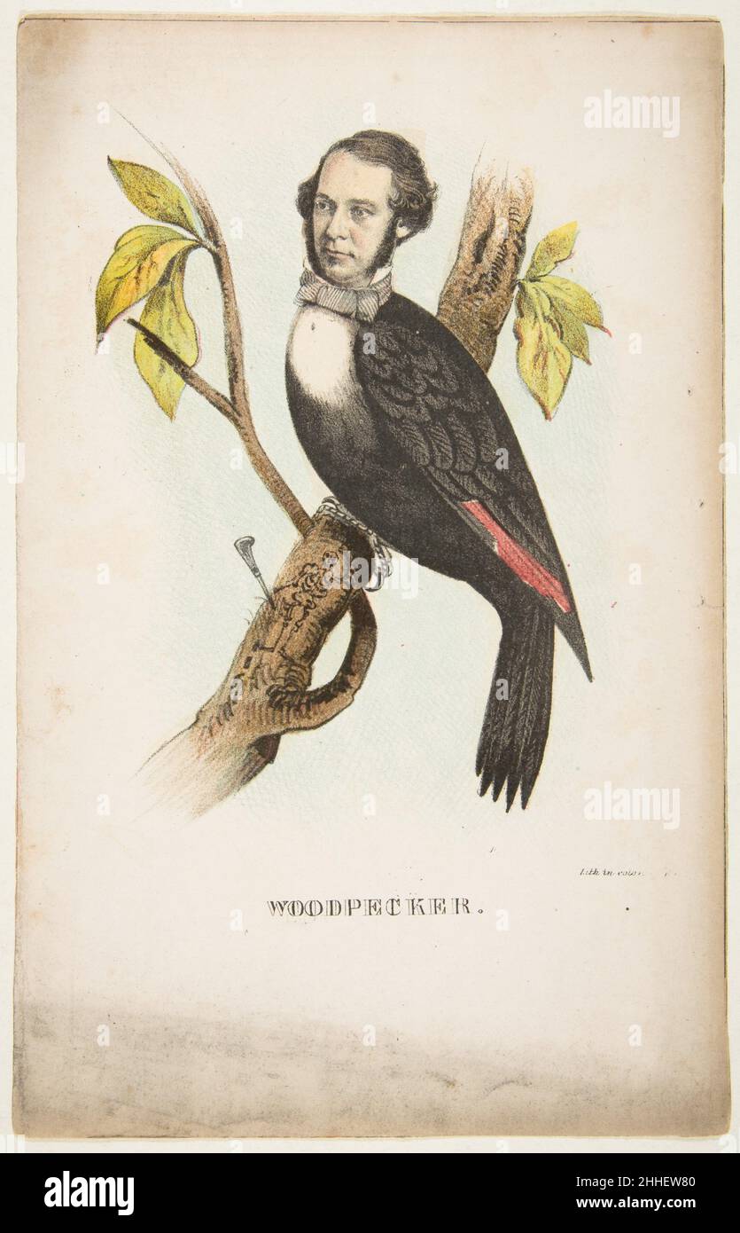 Woodpecker (William B. Gihon), from The Comic Natural History of the ...