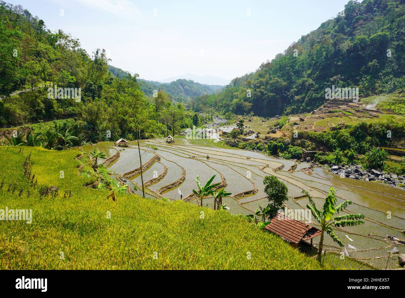 Terracing system hi-res stock photography and images - Alamy