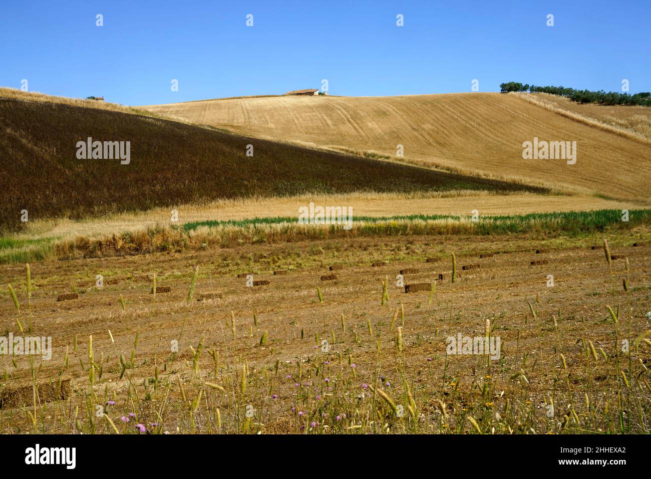 Landscape along the road from Termoli (Campobasso province, Molise) to ...