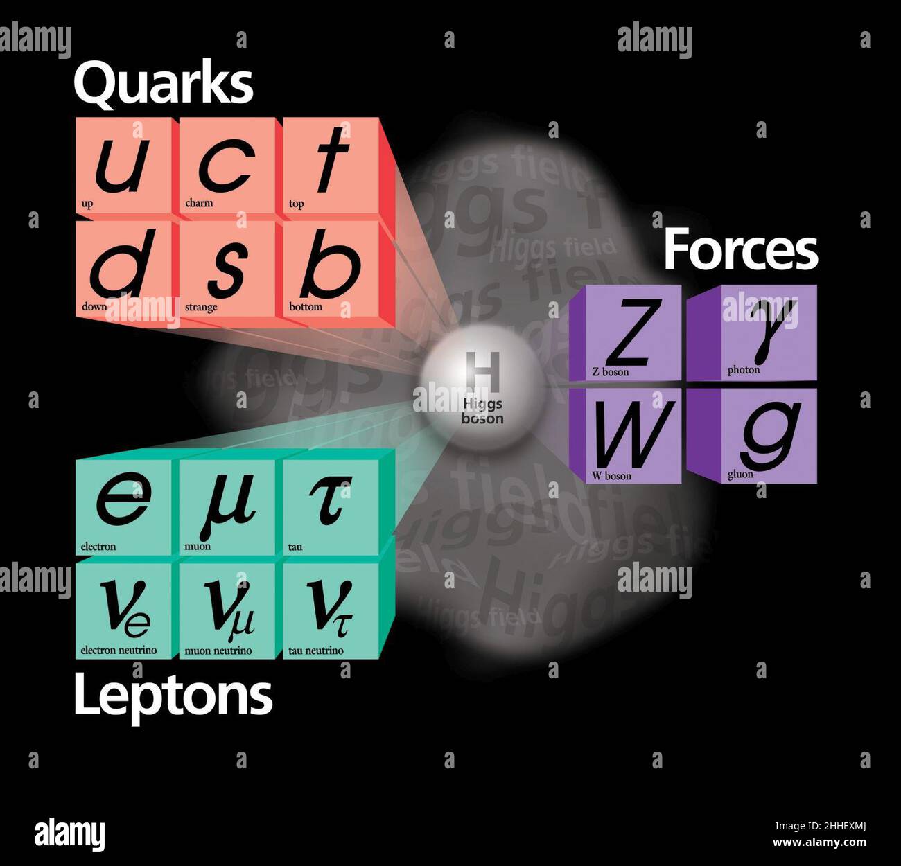 Standard model hi-res stock photography and images - Alamy