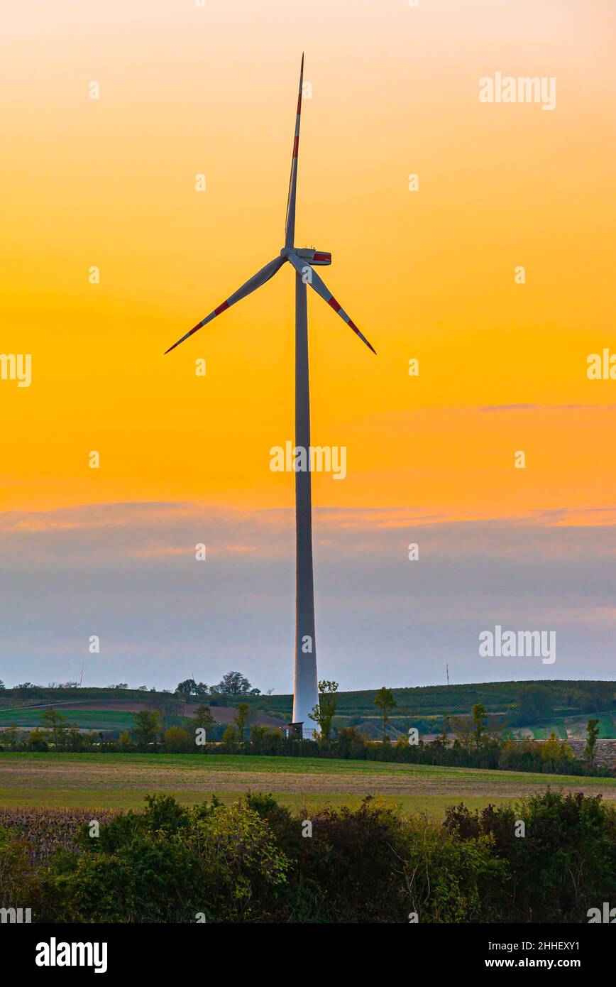 view on the windmills on the field, Renewal source of electricity. Wind ...