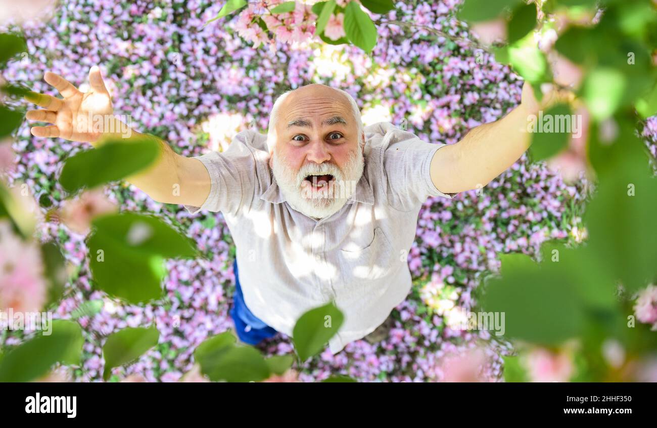 I am free. old man enjoy spring nature. senior man with gray beard in ...