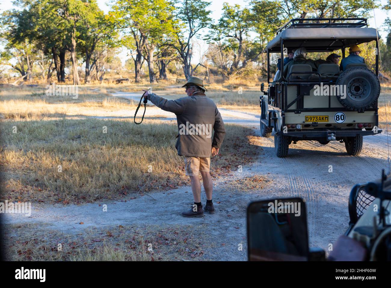 A safari guide walking on a path ahead of a vehicle at sunrise Stock ...