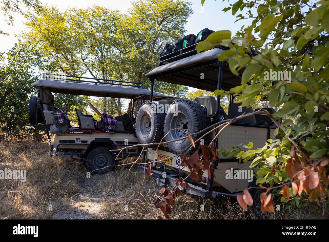 Two safari vehicles parked in the shade of trees Stock Photo - Alamy