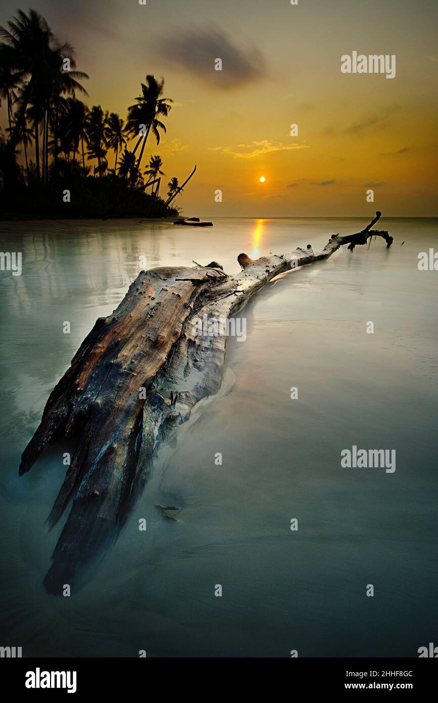 Weng lee hi-res stock photography and images - Alamy