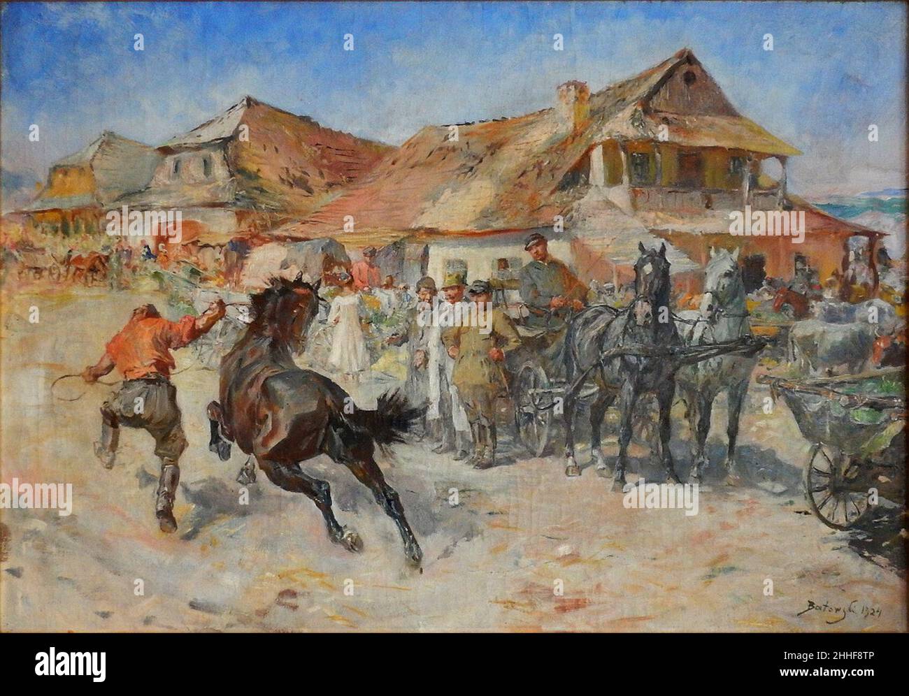 Kaczor batowski hi-res stock photography and images - Alamy