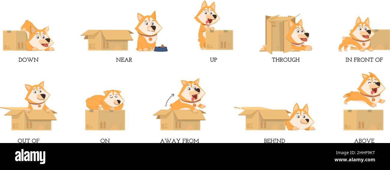 English preposition. Funny study prepositions, cartoon dog and box ...