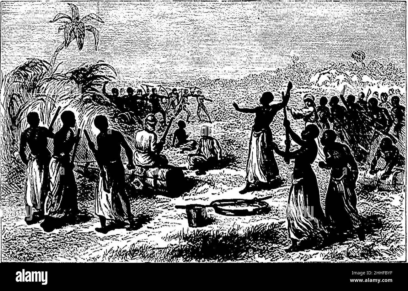 Stanley - Comment j'ai retrouvé Livingstone, trad Loreau, 1884 (page ...