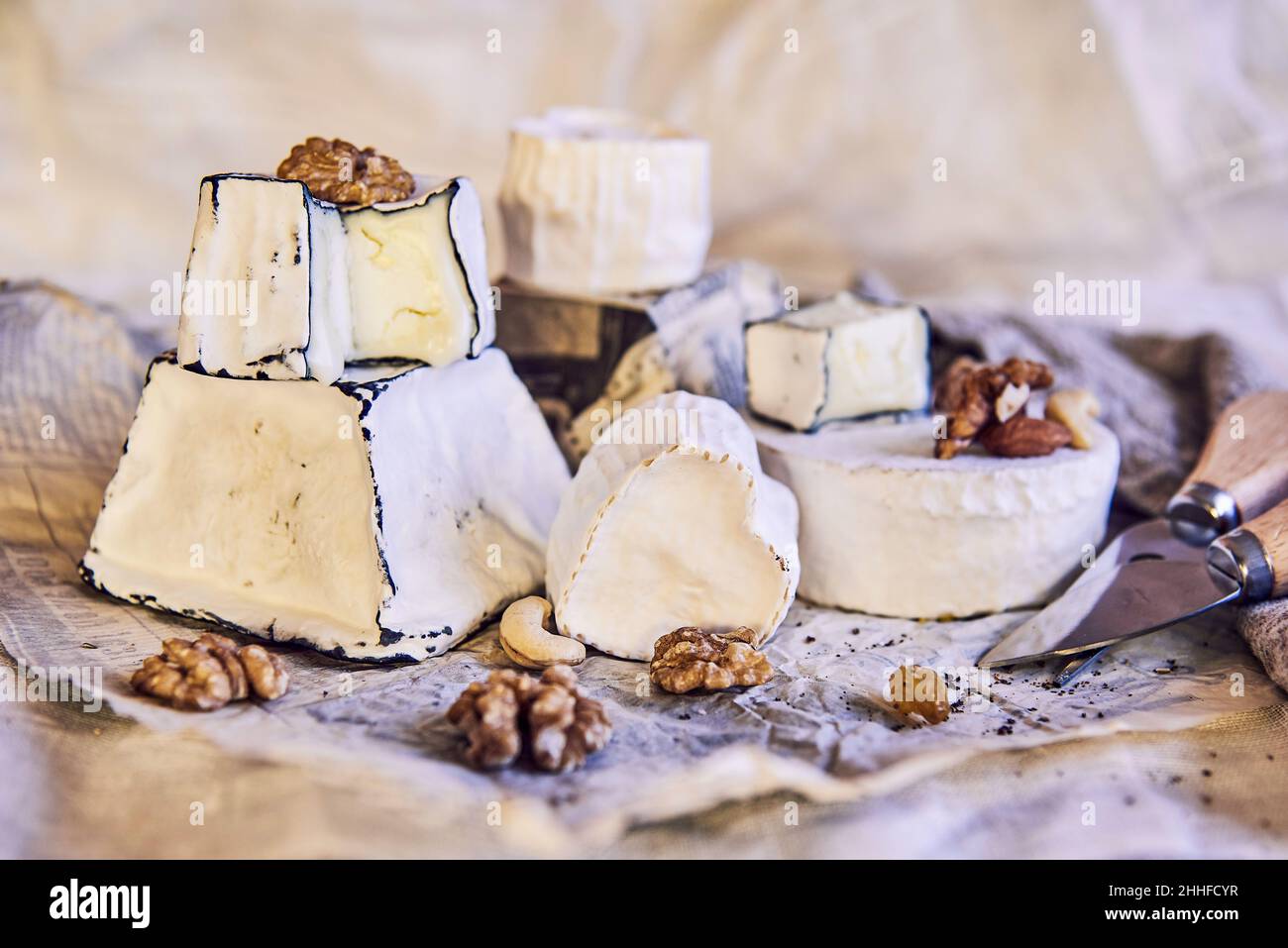 Various types of cheese with white mold on packaging paper. Home ...