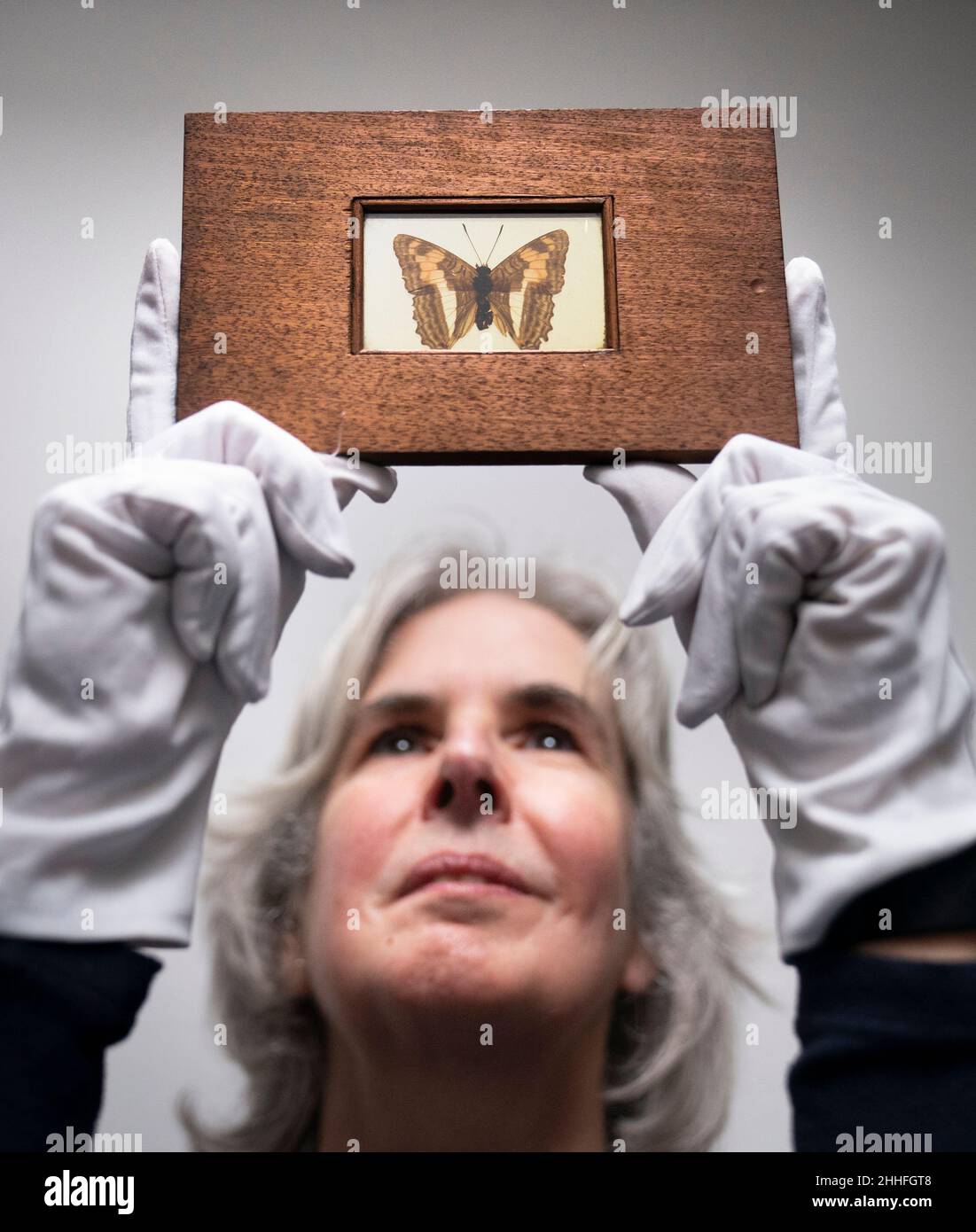Curator Kitty Ross Abbey with a framed lantern slide holding a ...