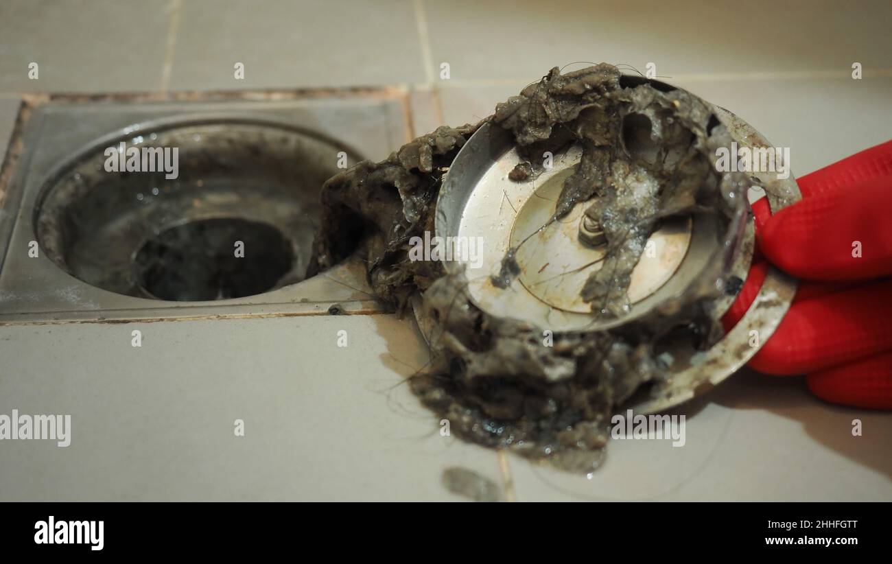Drain cleaning. Clogged and dirty sewer pipes floor drain. Full of hair ...