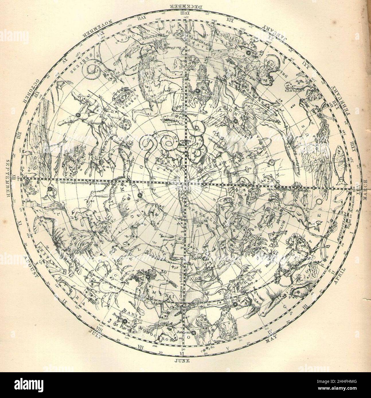 STARS and CONSTELLATIONS Chart North and South Pole Star Map Stock ...