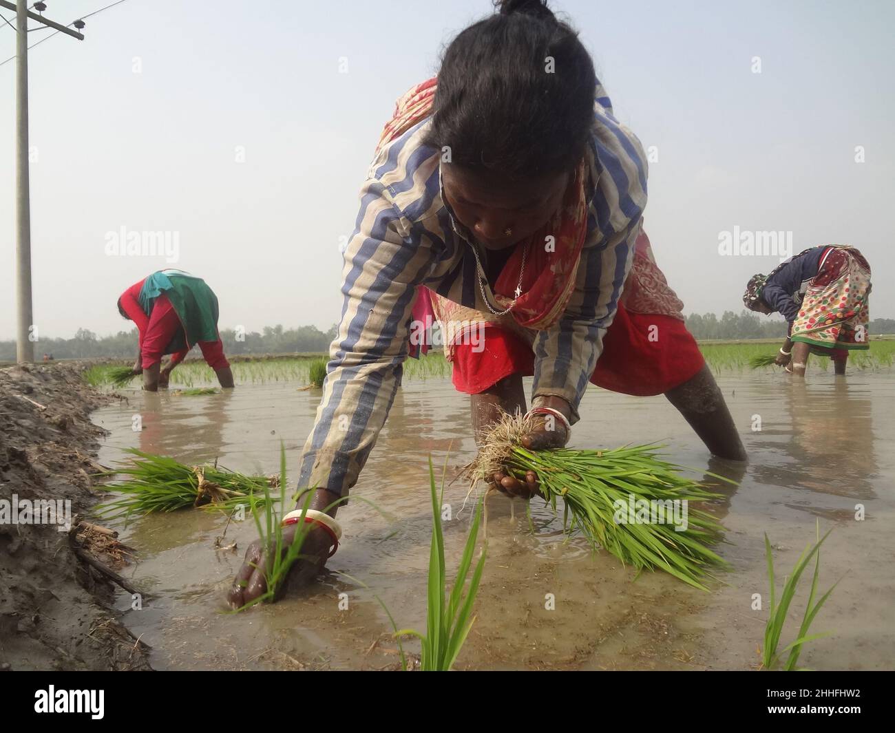 Beldanga hi-res stock photography and images - Alamy