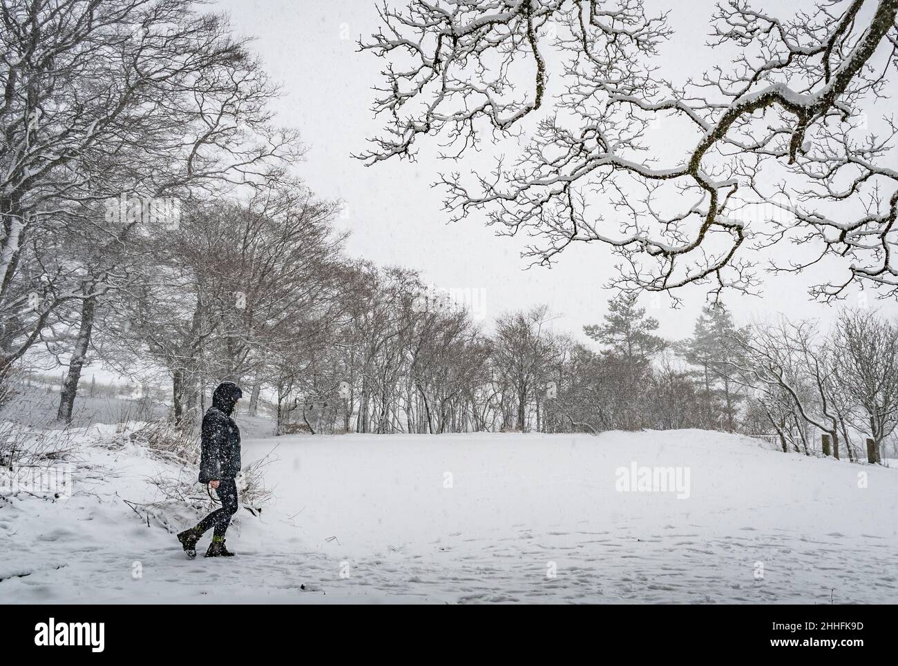 Snowy person hi-res stock photography and images - Alamy