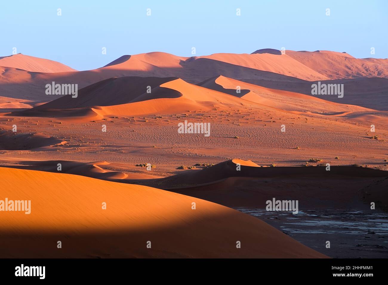 Deadvlei surrounded by high red sand dunes. Sossusvlei, Namib-Naukluft ...