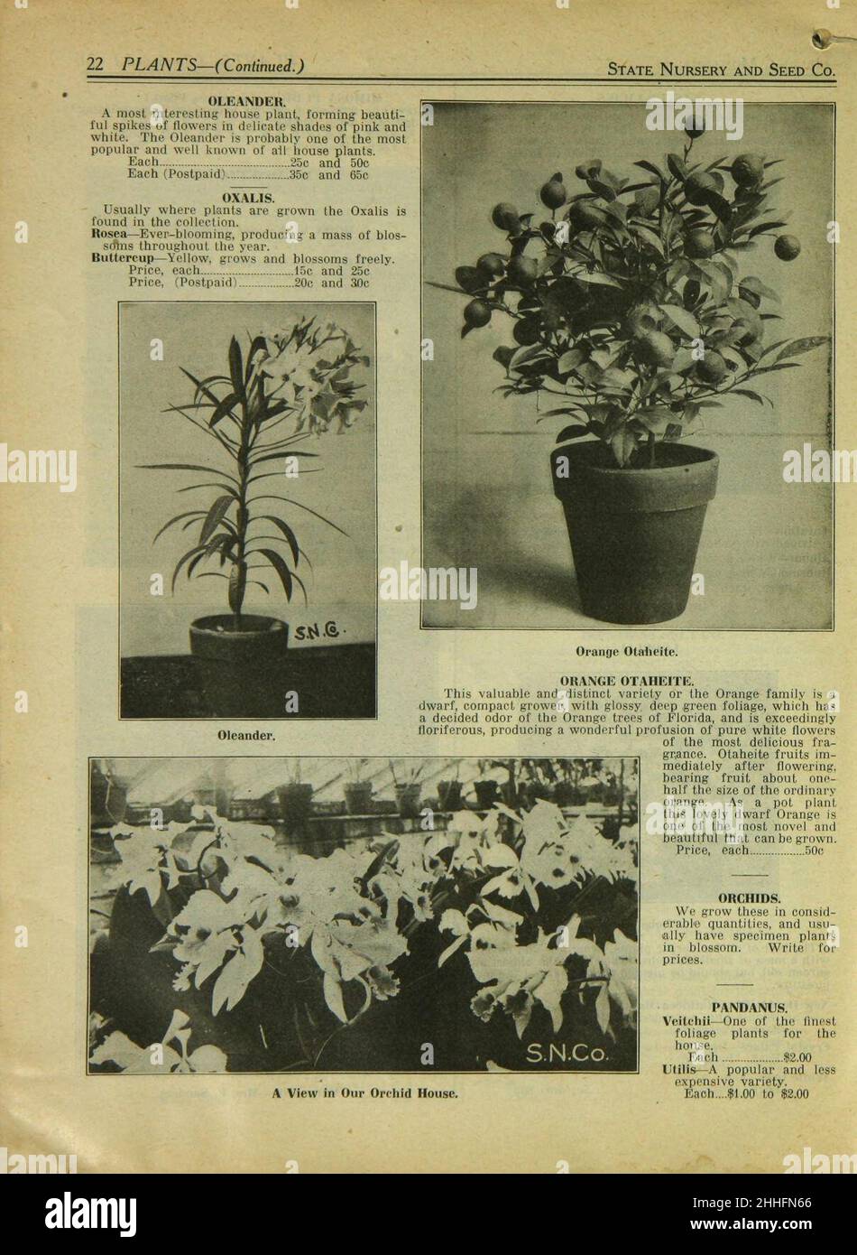 State Nursery and Seed Co. materials (Page 22 Stock Photo - Alamy