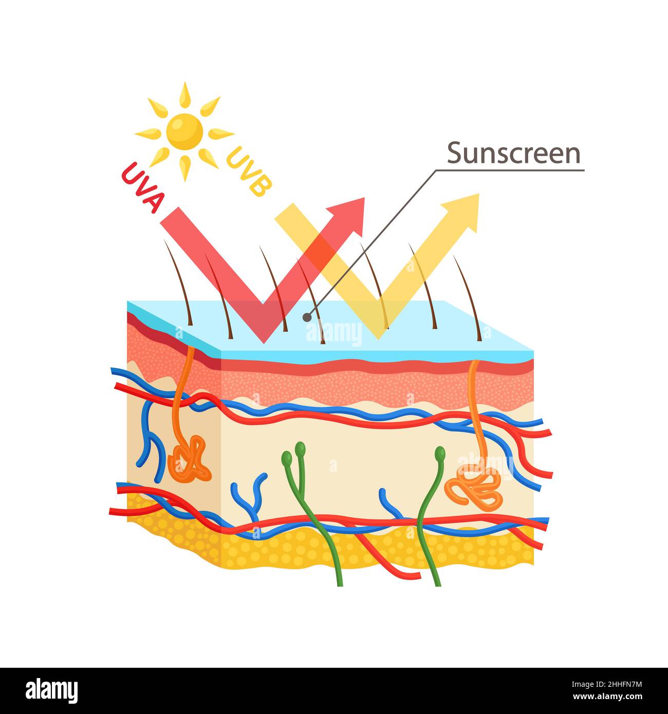 Ultraviolet Radiation From The Sun High Resolution Stock Photography ...