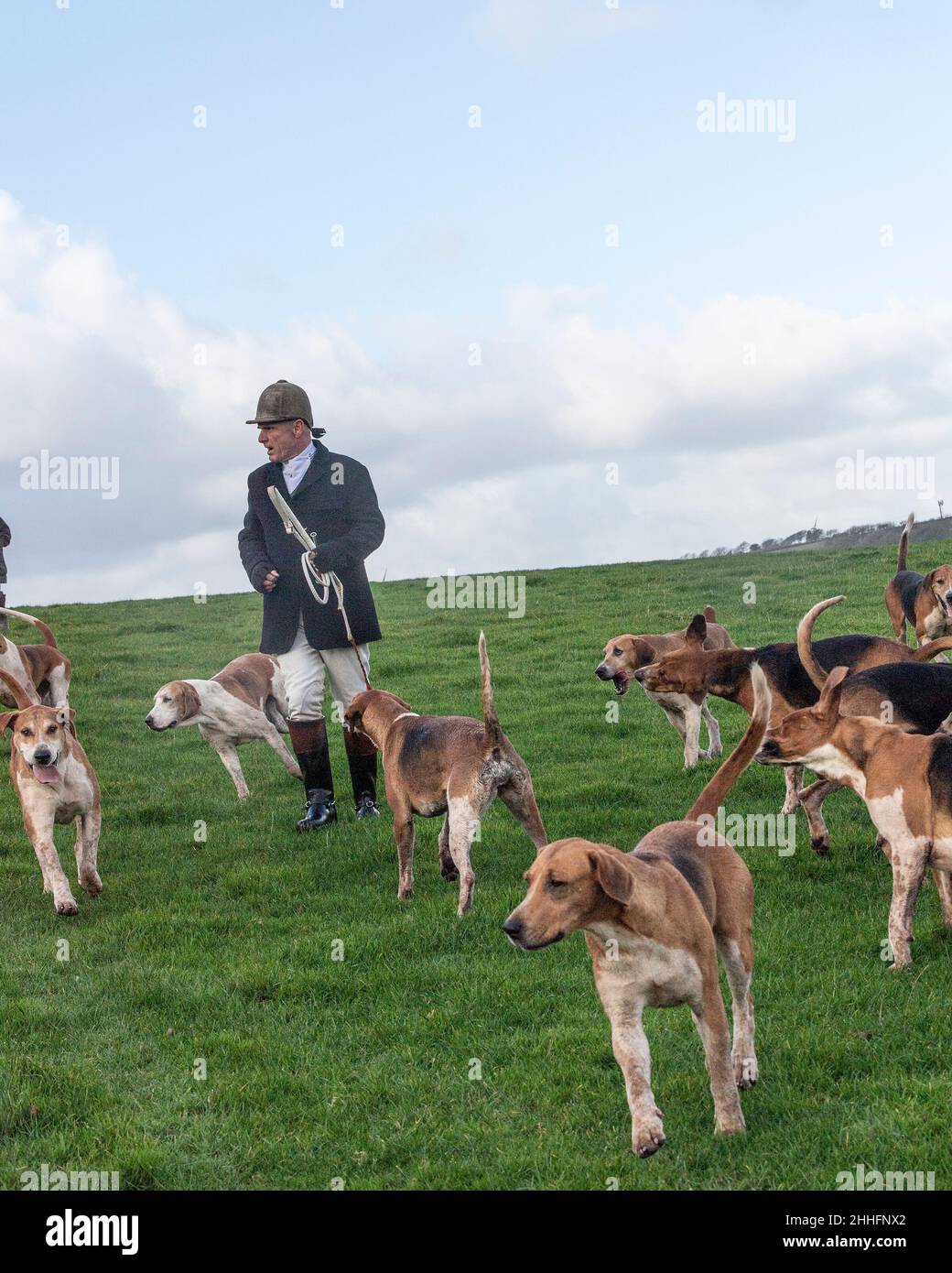 Huntsman stand hi-res stock photography and images - Alamy