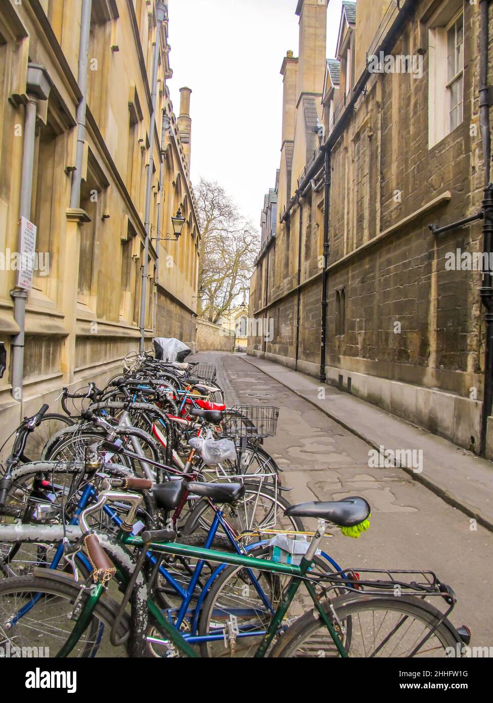 Bicycles parked in a narrow one-way road in Oxford, England Stock Photo ...