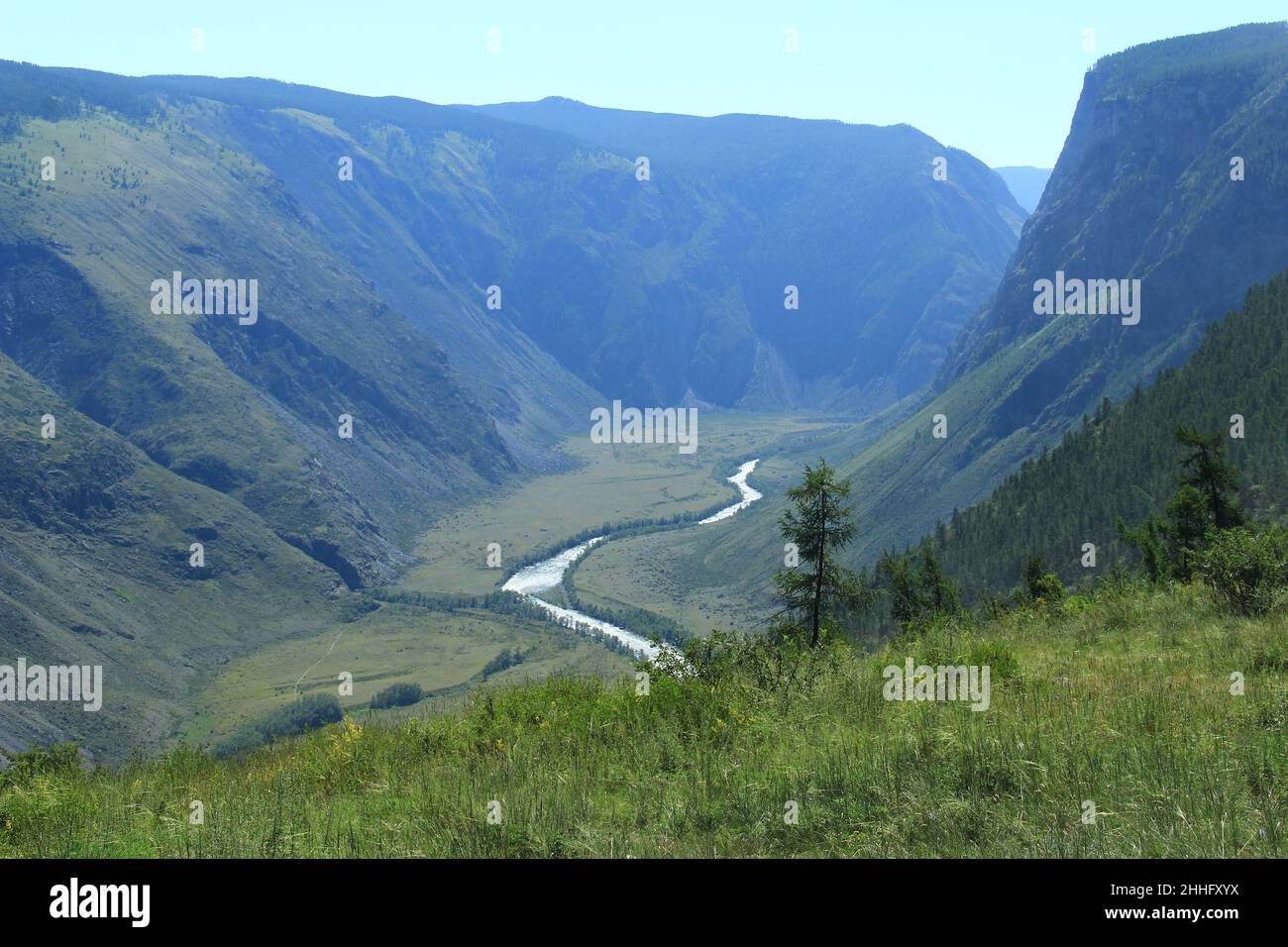 Alpine valley in Altai with the Chulyshman river Stock Photo - Alamy