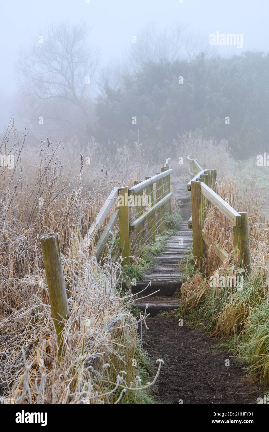 Wooden footbridge over water hi-res stock photography and images - Alamy