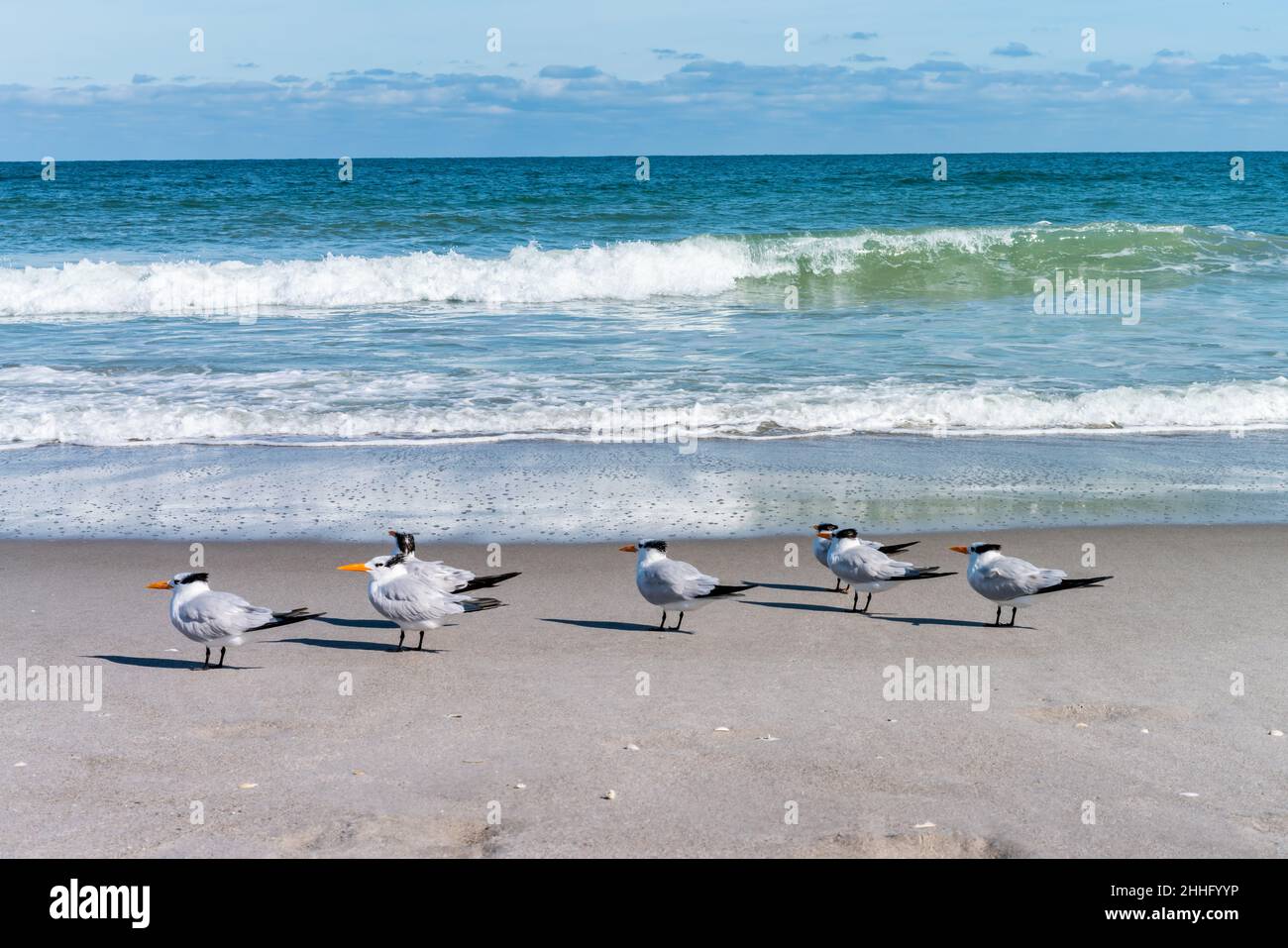 Beautiful picture with the view of Melbourne Beach in Florida with Gull ...