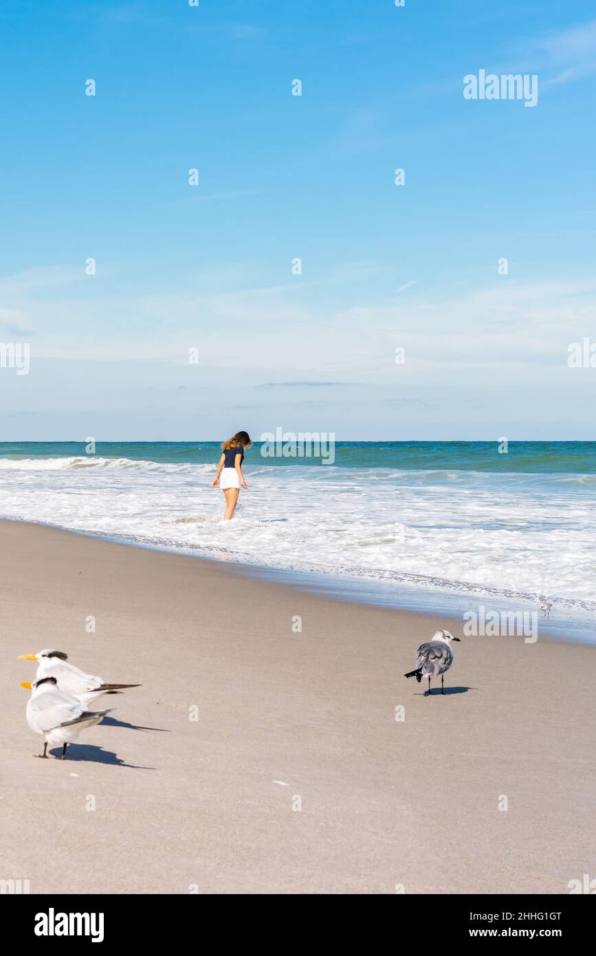 Beautiful picture with the view of Melbourne Beach in Florida with Gull ...