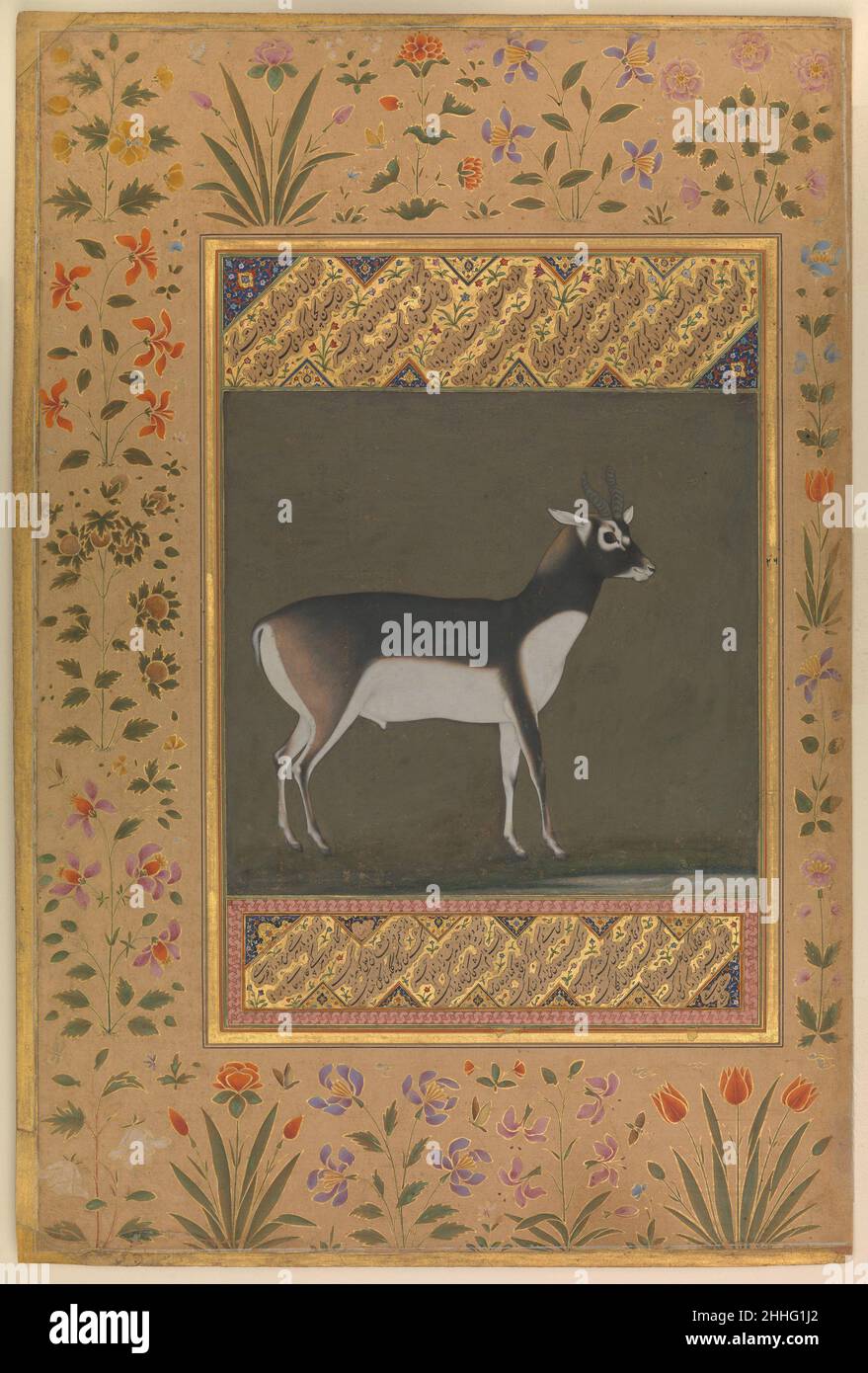 "Black Buck", Folio from the Shah Jahan Album recto: ca. 1615–20; verso ...