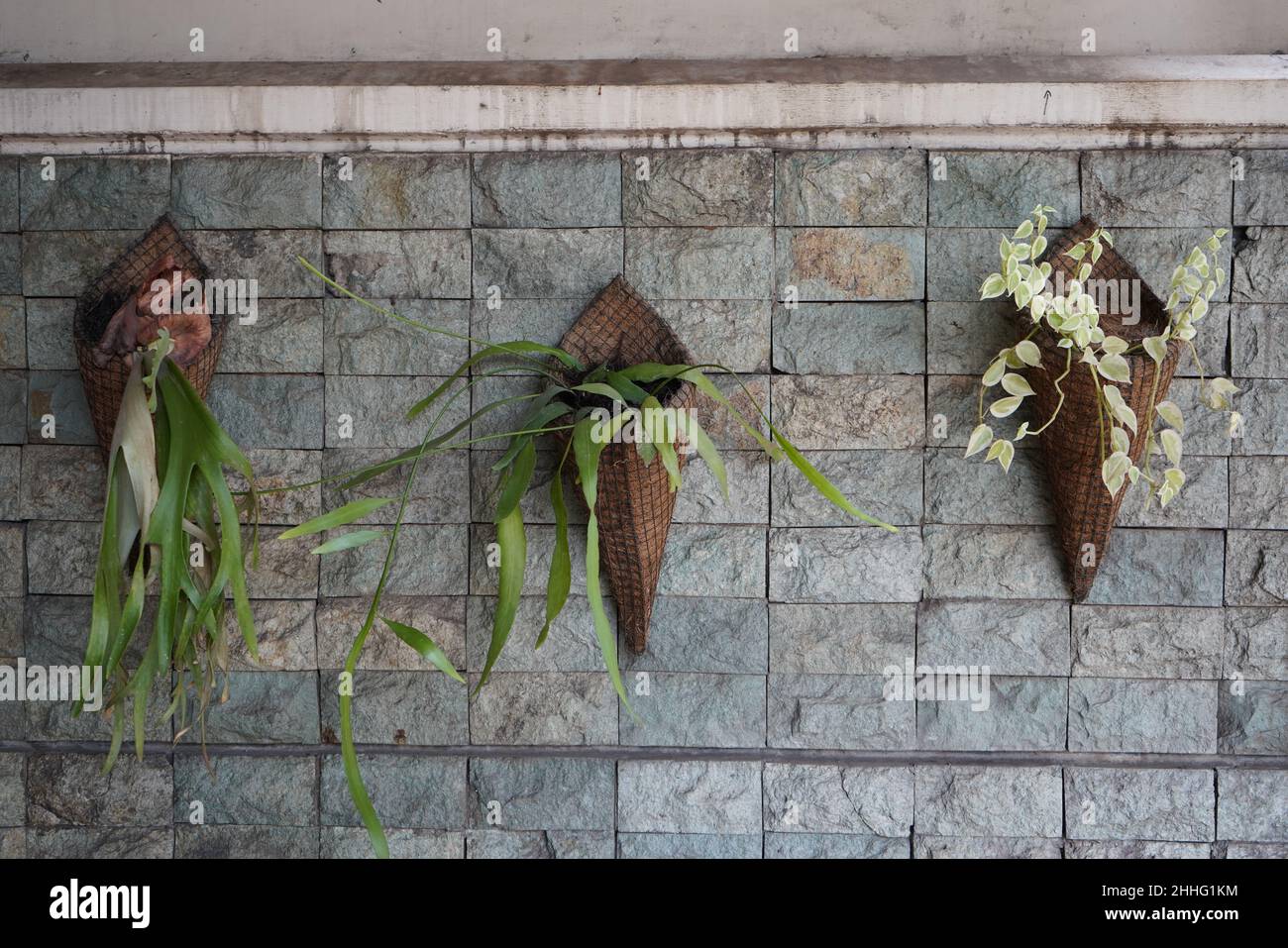 Vertical gardens or often referred to as green walls, living walls ...