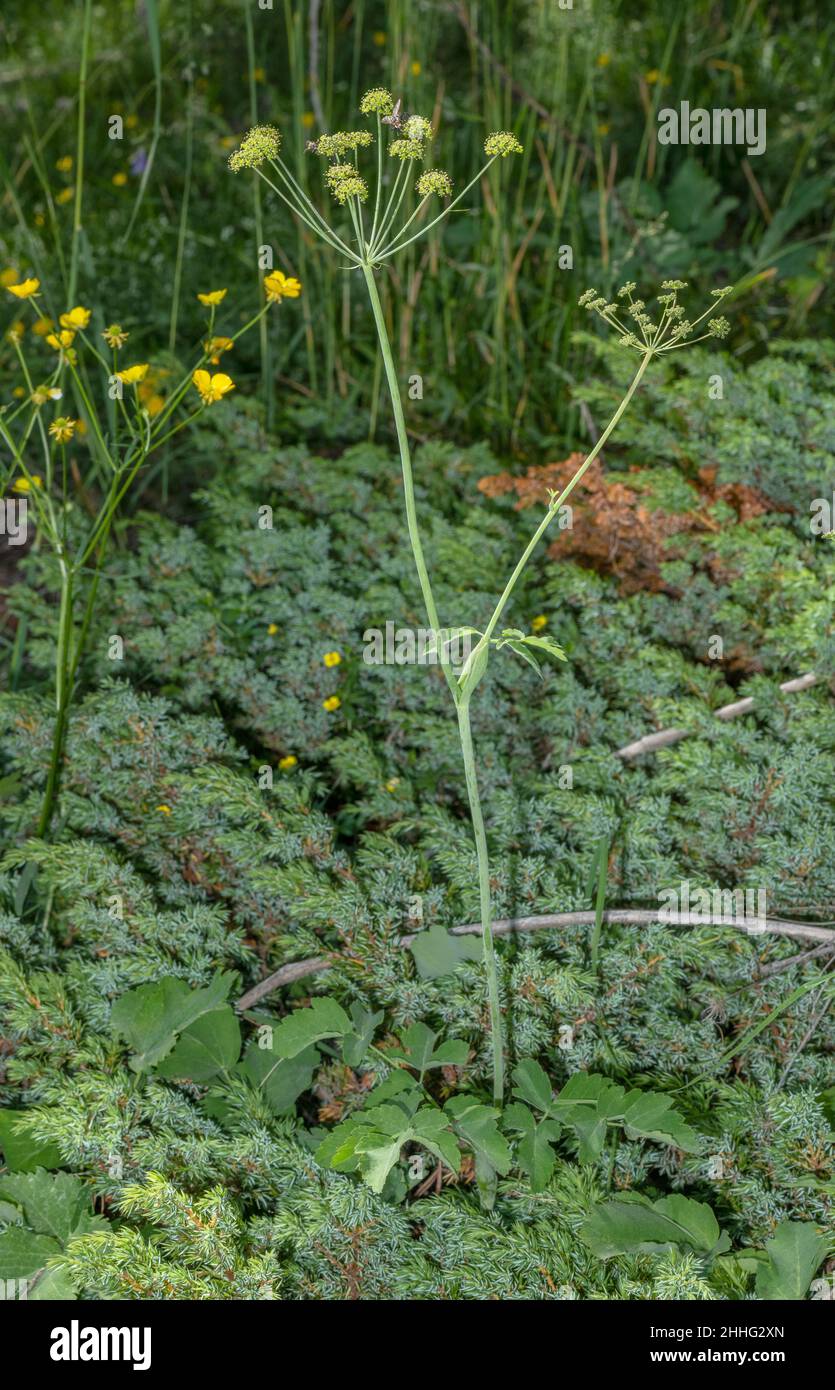 Gaudins sermountain hi-res stock photography and images - Alamy