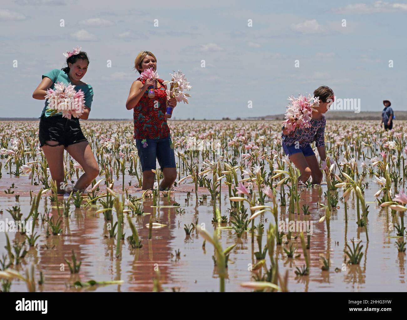 Namibia windhoek farm hi-res stock photography and images - Alamy
