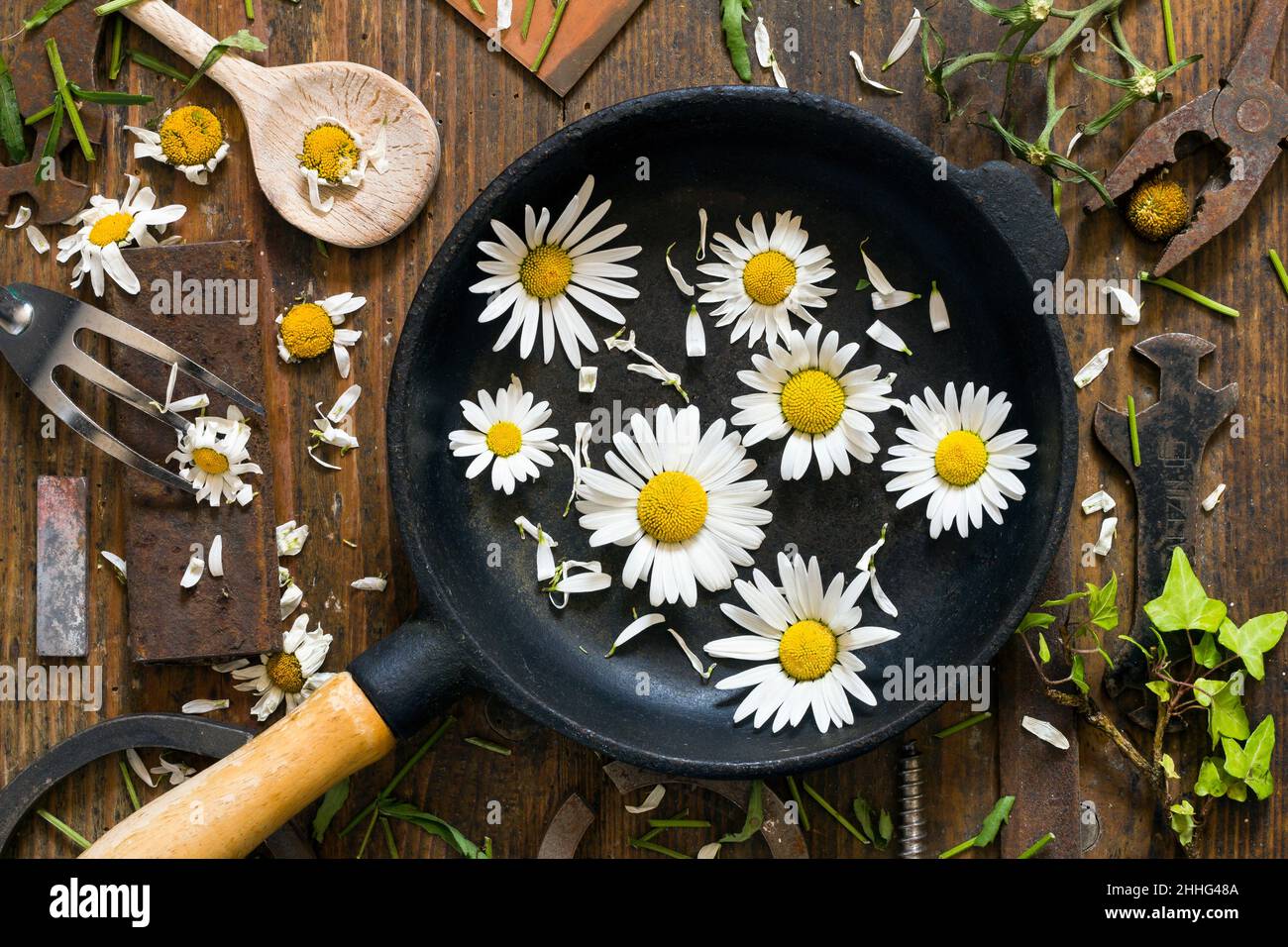 Pan with daisy flowers, cooking spoon and tools arranged like fried ...