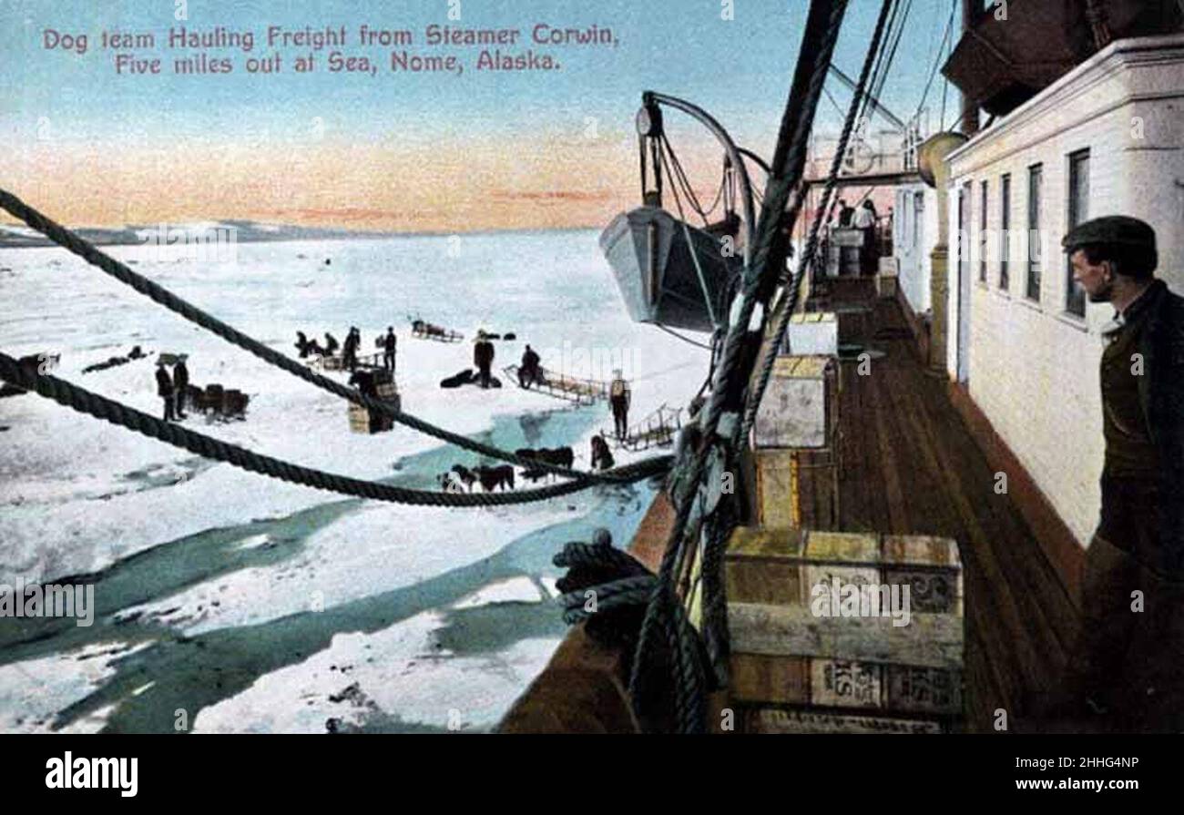 Steamer CORWIN off Nome, Alaska showing dogsled teams on ice hauling ...