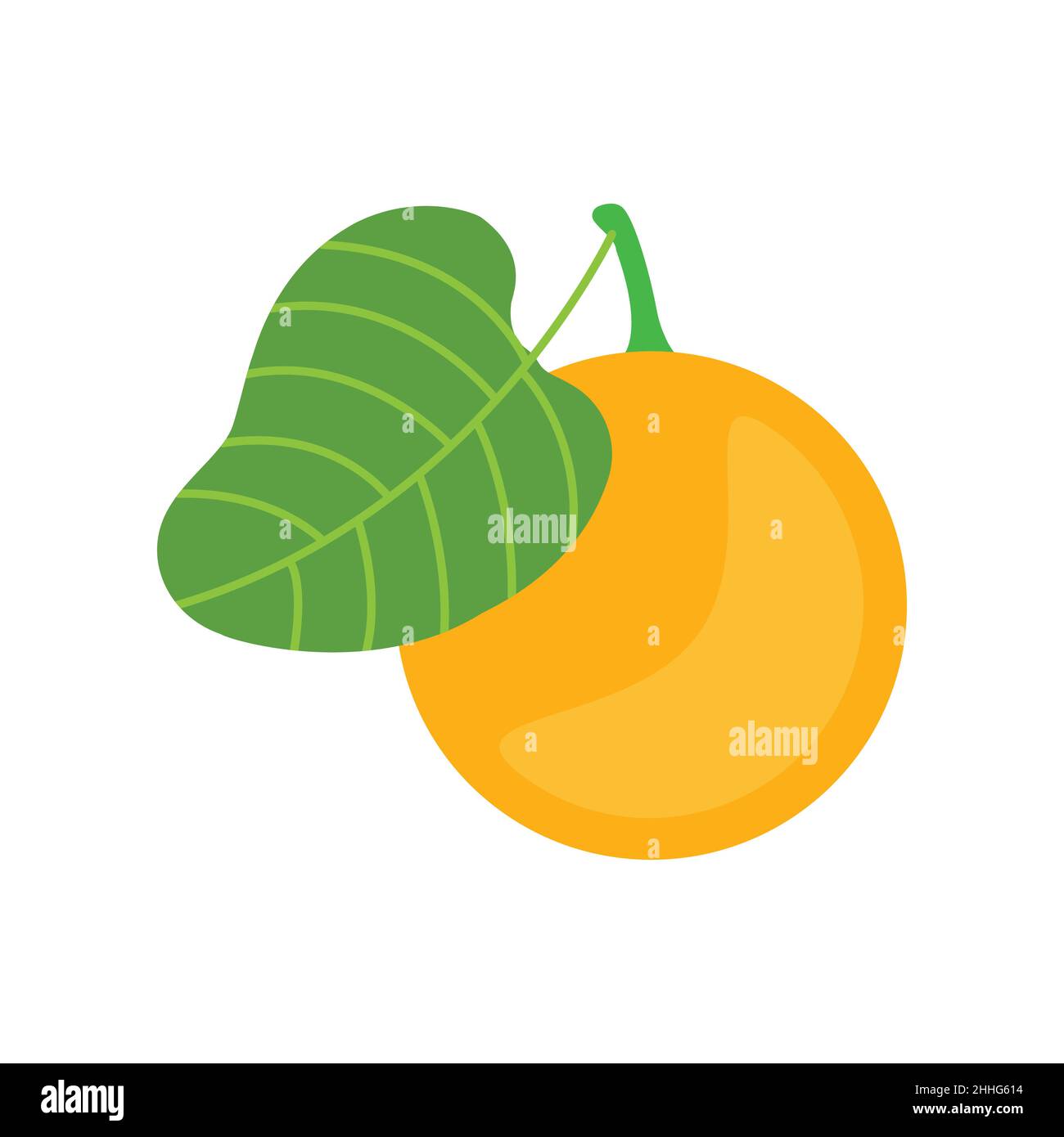 Shadow leaves on orange Stock Vector Images - Alamy