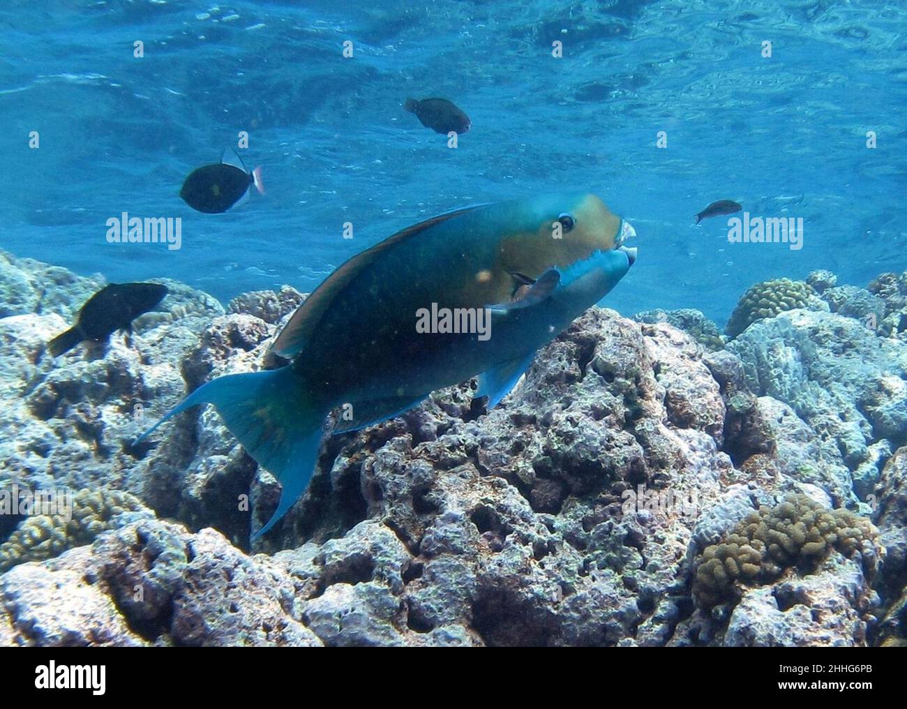 Tumon bay guam hi-res stock photography and images - Alamy