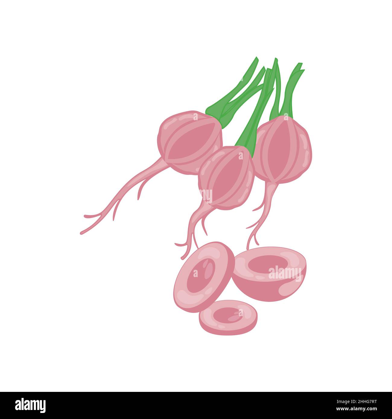 cartoon onion sliced and flat illustration isolated on white background ...