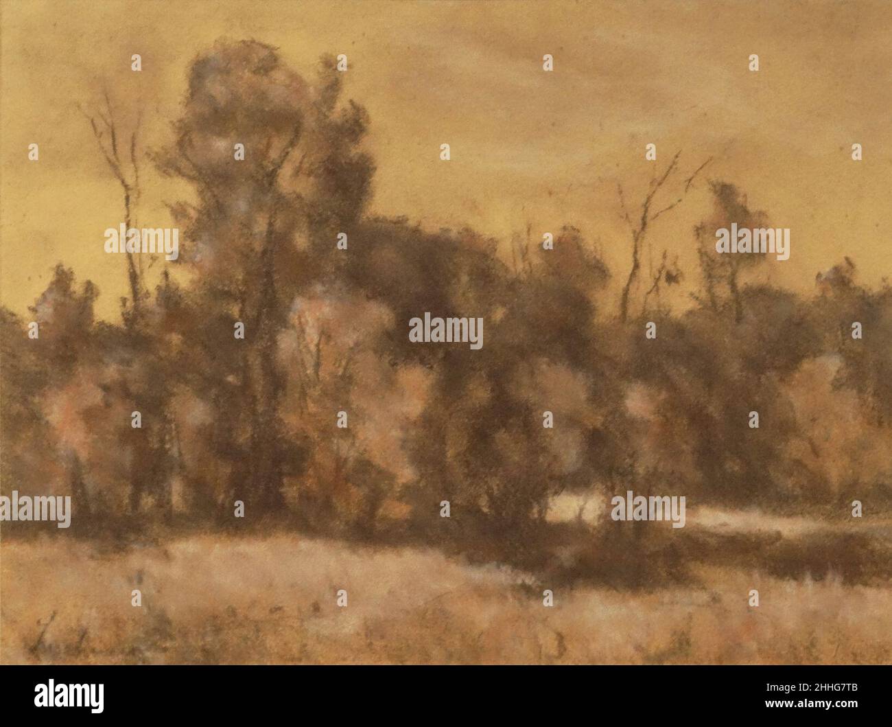 Crang hi-res stock photography and images - Alamy