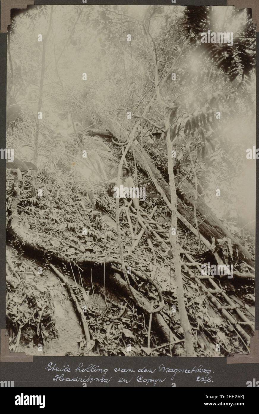 Steile helling van den Mageneetberg. Hadritsma en Copijn (23 Augustus ...