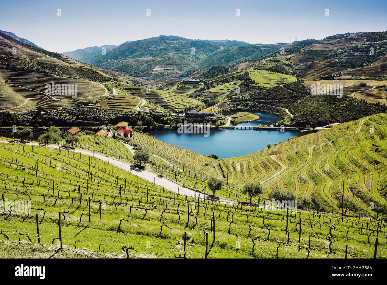 Douro Valley. Vineyards and landscape near Pinhao town, Portugal Stock ...