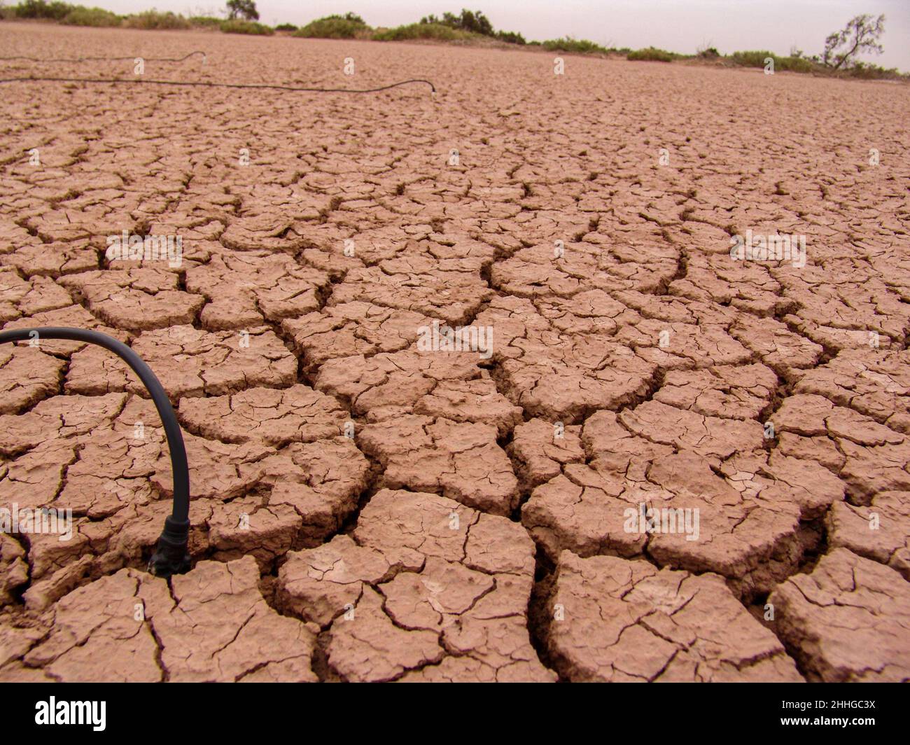 Cracked desert floor hi-res stock photography and images - Alamy